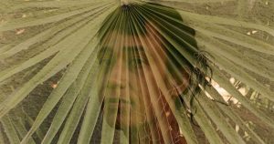 Nas mãos da artista Maria Maea, a palma vira suporte – Strong The One